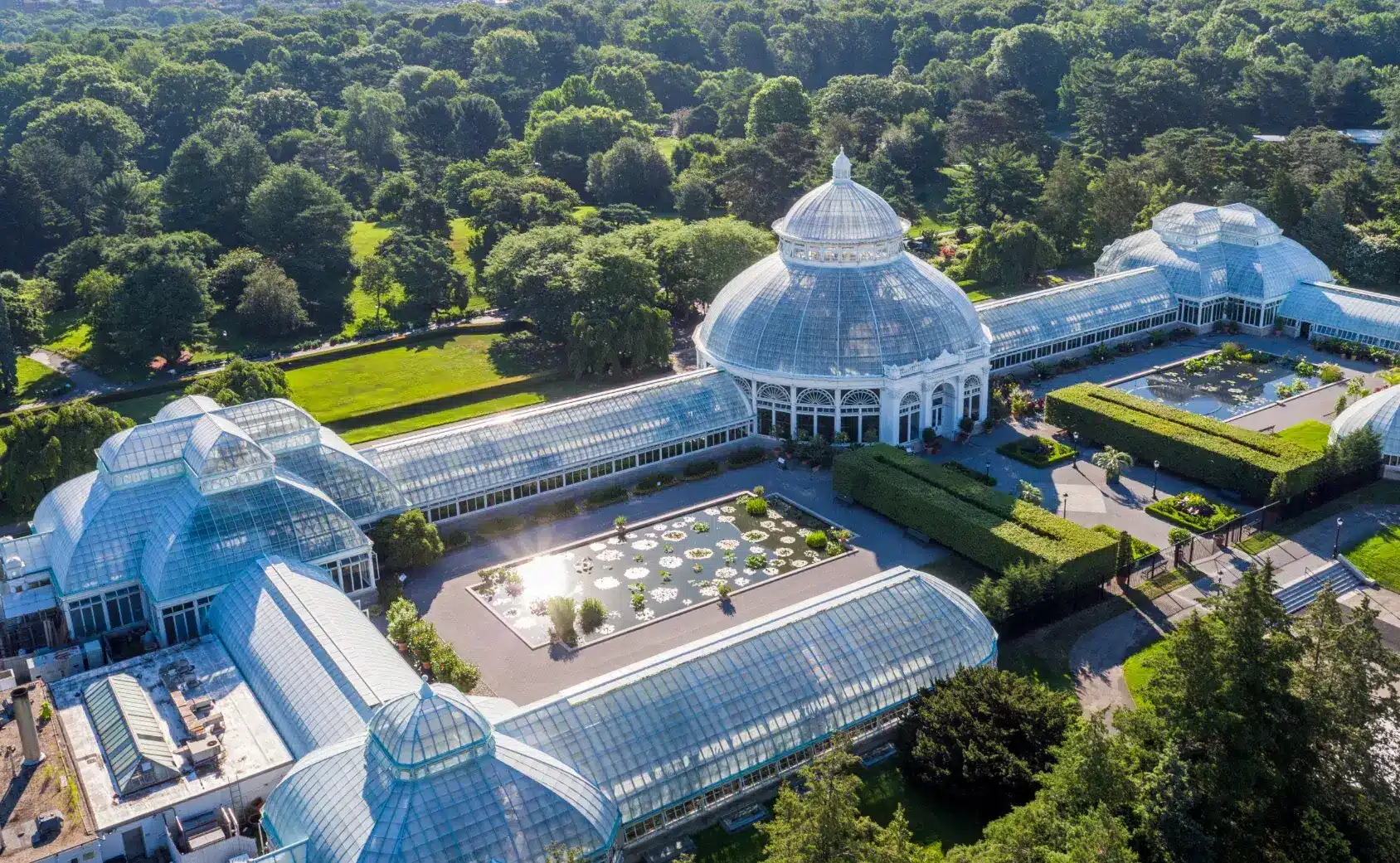 A Blooming Marvel: Exploring the New York Botanical Garden in Bronx, NY ...
